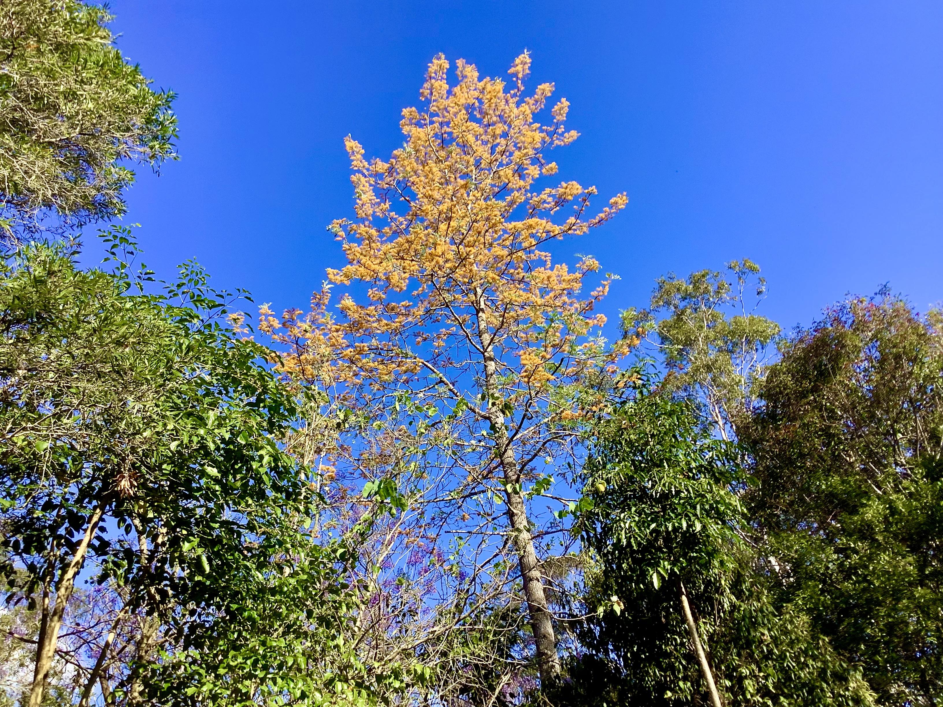 Daily Wash Friday 20th October 2023 - WetCanvas: Online Living for Artists